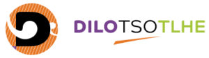 Dilotsotlhe Holdings - Inspired to serve you